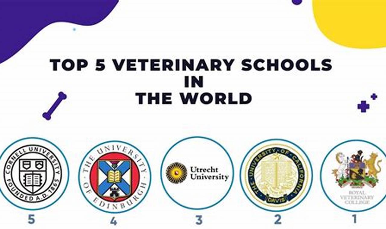 Top 10 Best Veterinary Schools: 2024 Rankings