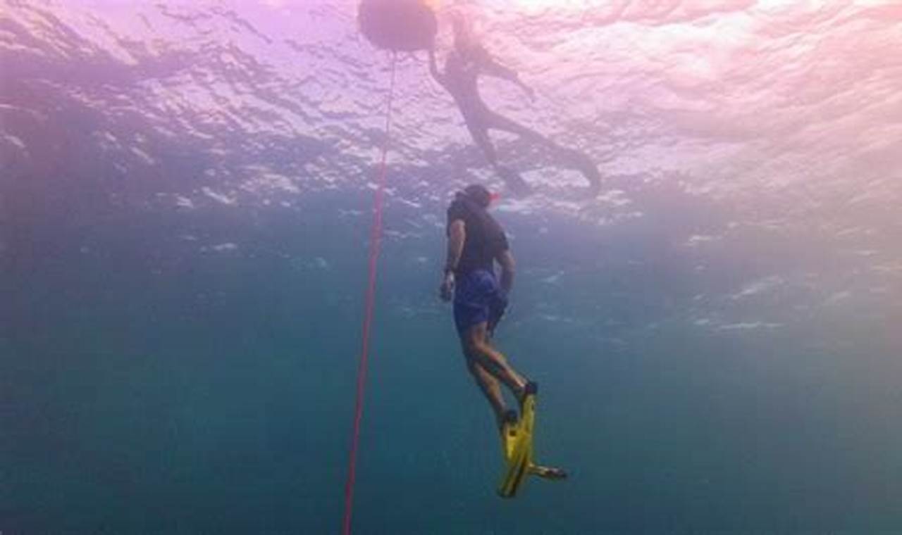 Top Freediving Schools in the Philippines 2024