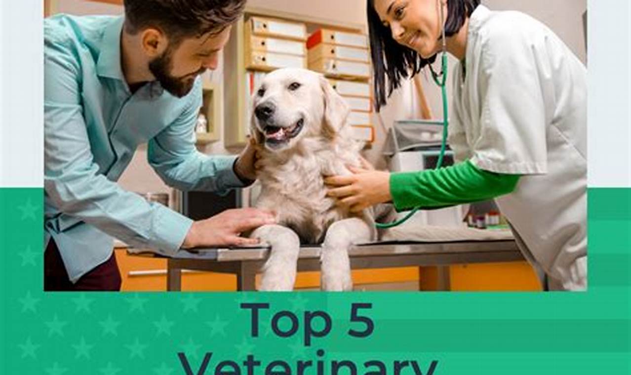 Top 10 Best Large Animal Vet Schools in 2024