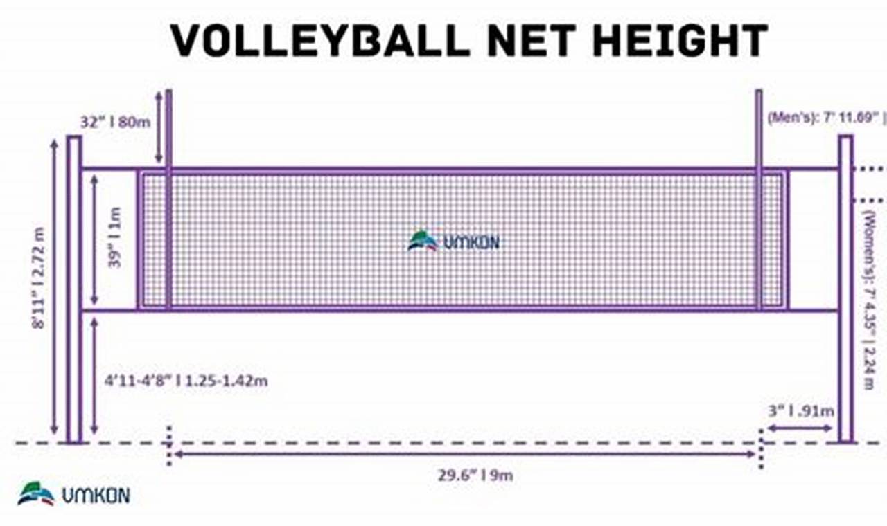 Official High School Volleyball Net Height: Rules & Specs