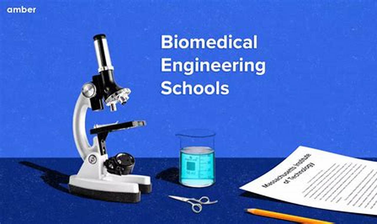 Top 10 Best Biological Engineering Schools & Programs