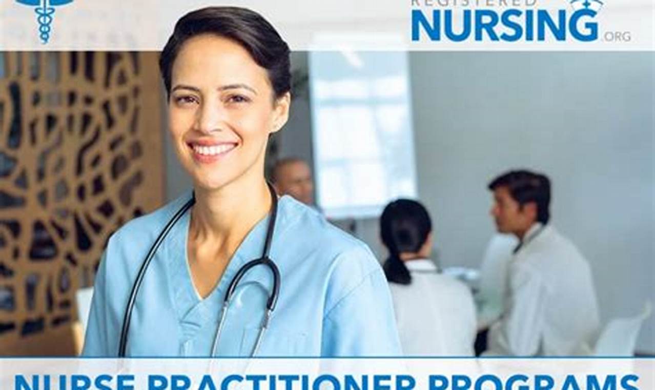 Top 10 Best Schools for Nurse Practitioner Programs 2024