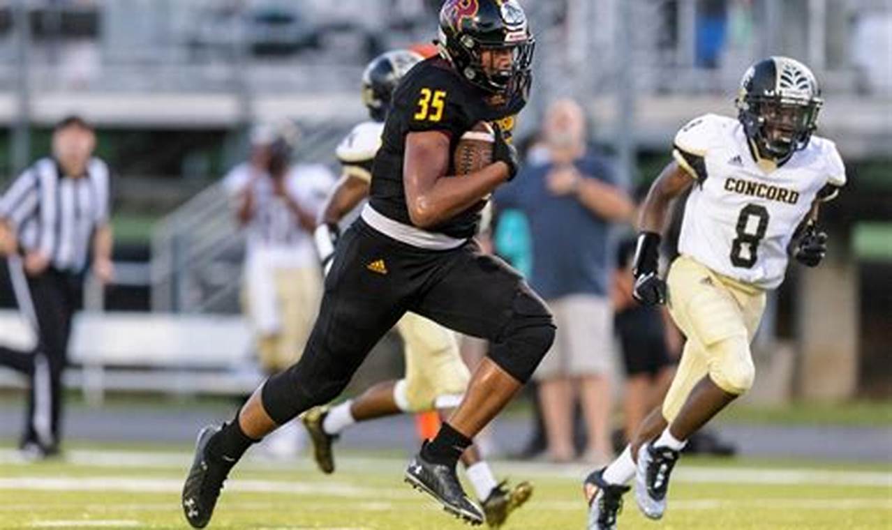 Go Bulldogs! Jay M. Robinson HS Football News