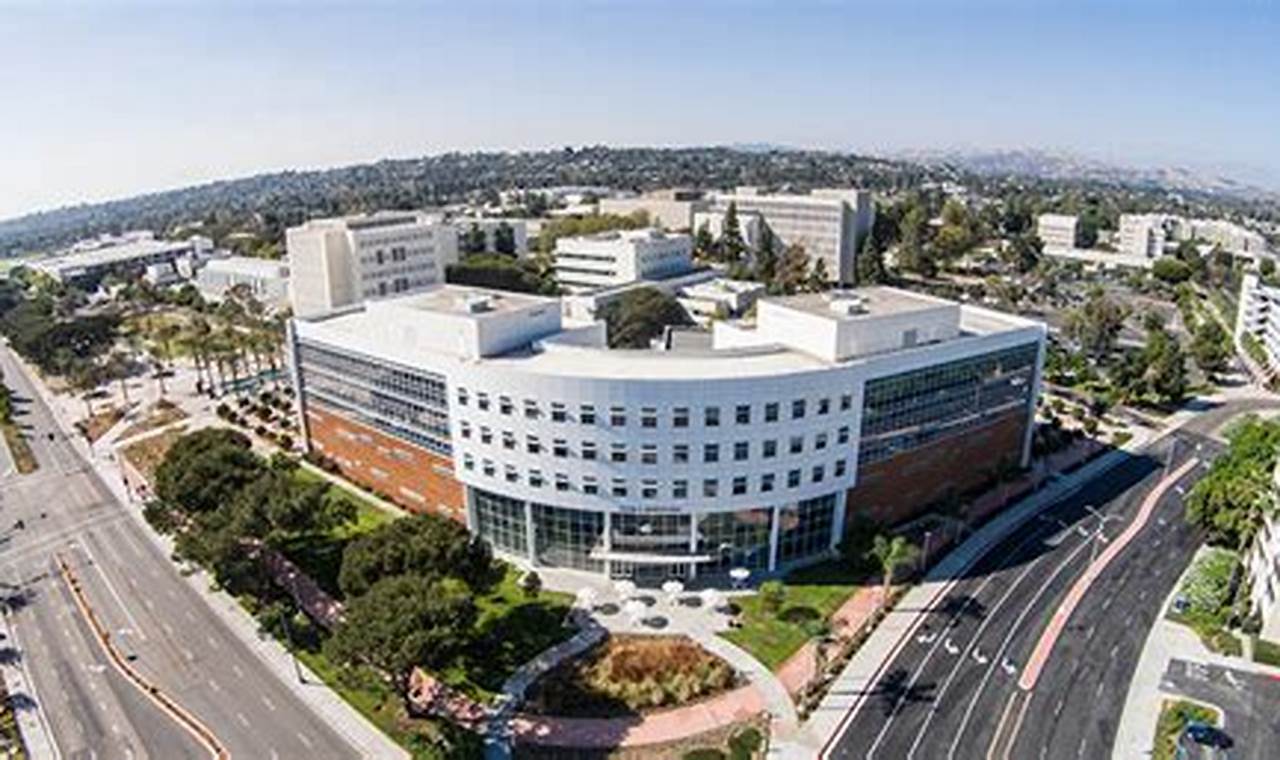 Top CSU Engineering Schools: 2024 Guide