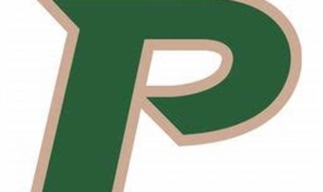 Pelham High Football: Home of the Panthers