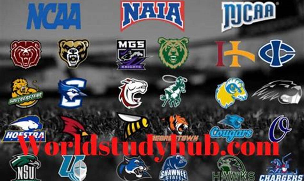 Top 10 Best NAIA Soccer Schools in the US
