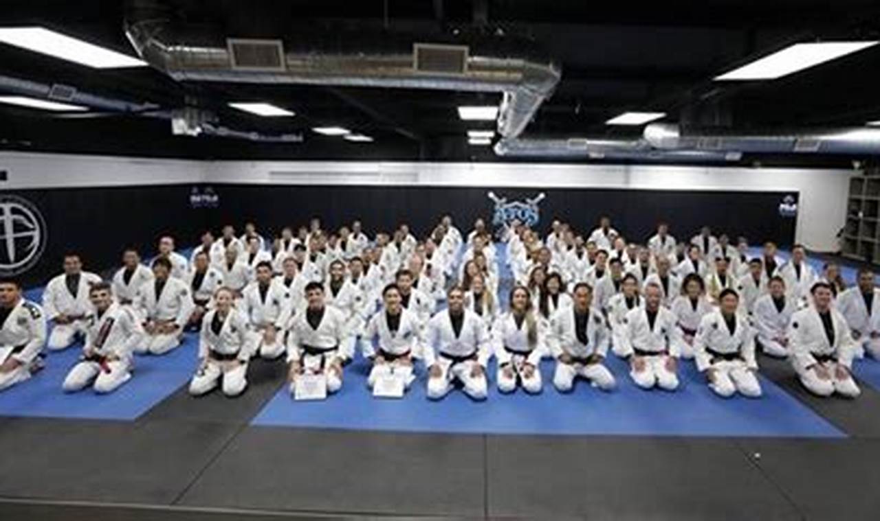 Top 5 Best BJJ Schools: Find Your Perfect Fit