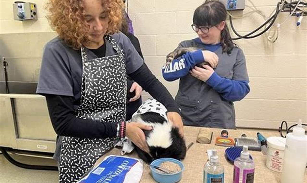 Intro to Small Animal Care in High School Today