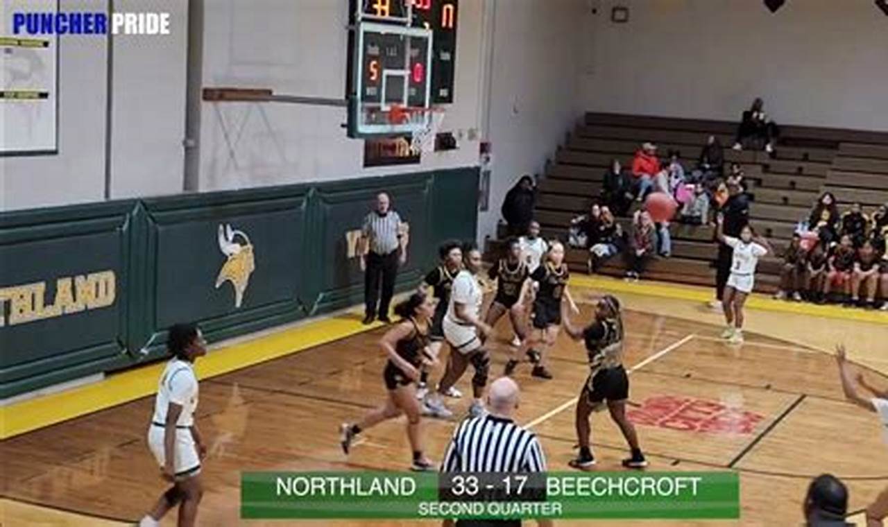 Beechcroft HS Basketball: Team, News & More