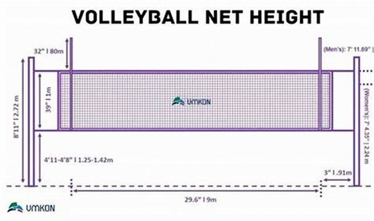 Official High School Volleyball Net Height: Rules & FAQs