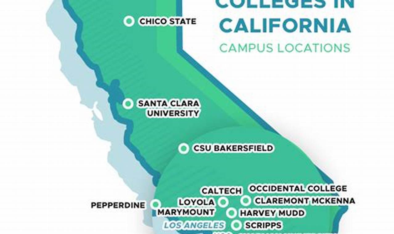 Top Cal State Nursing Schools: 2024 Guide