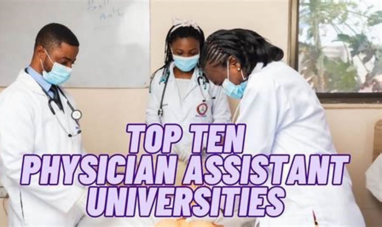 Top 10 Best Physician Assistant Schools: 2024 Guide