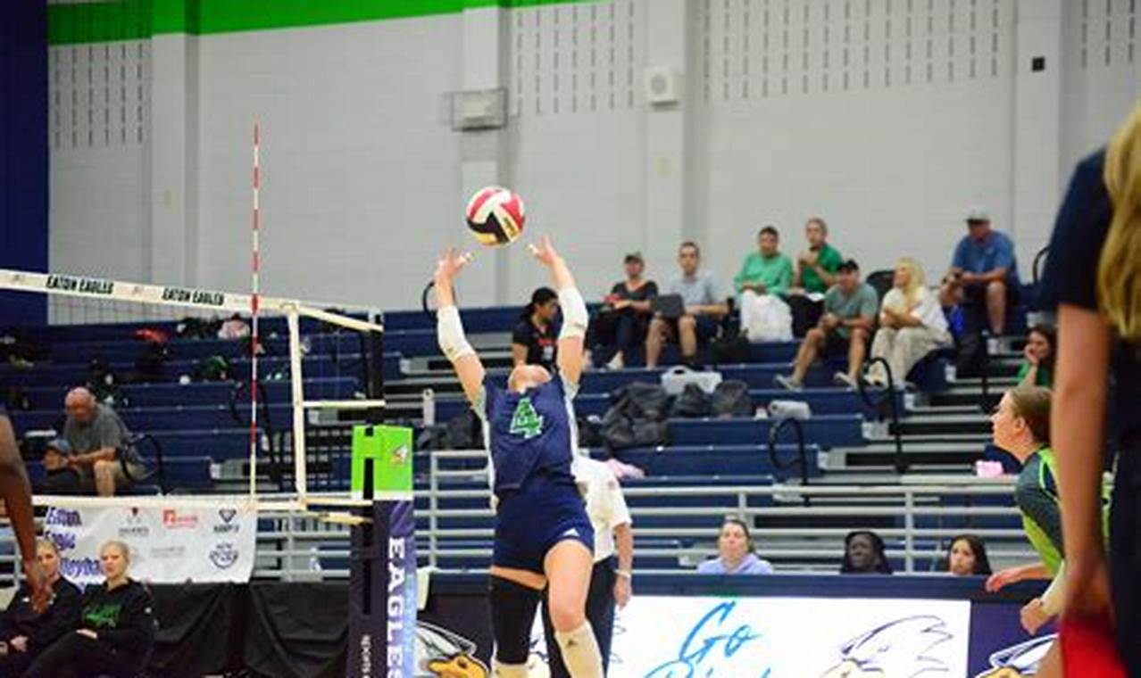 Get HS Volleyball Scores Today: Live Updates