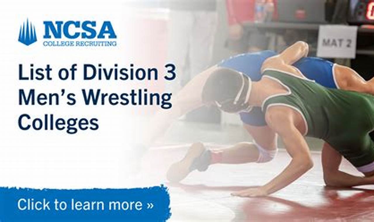 Best D3 Wrestling Schools