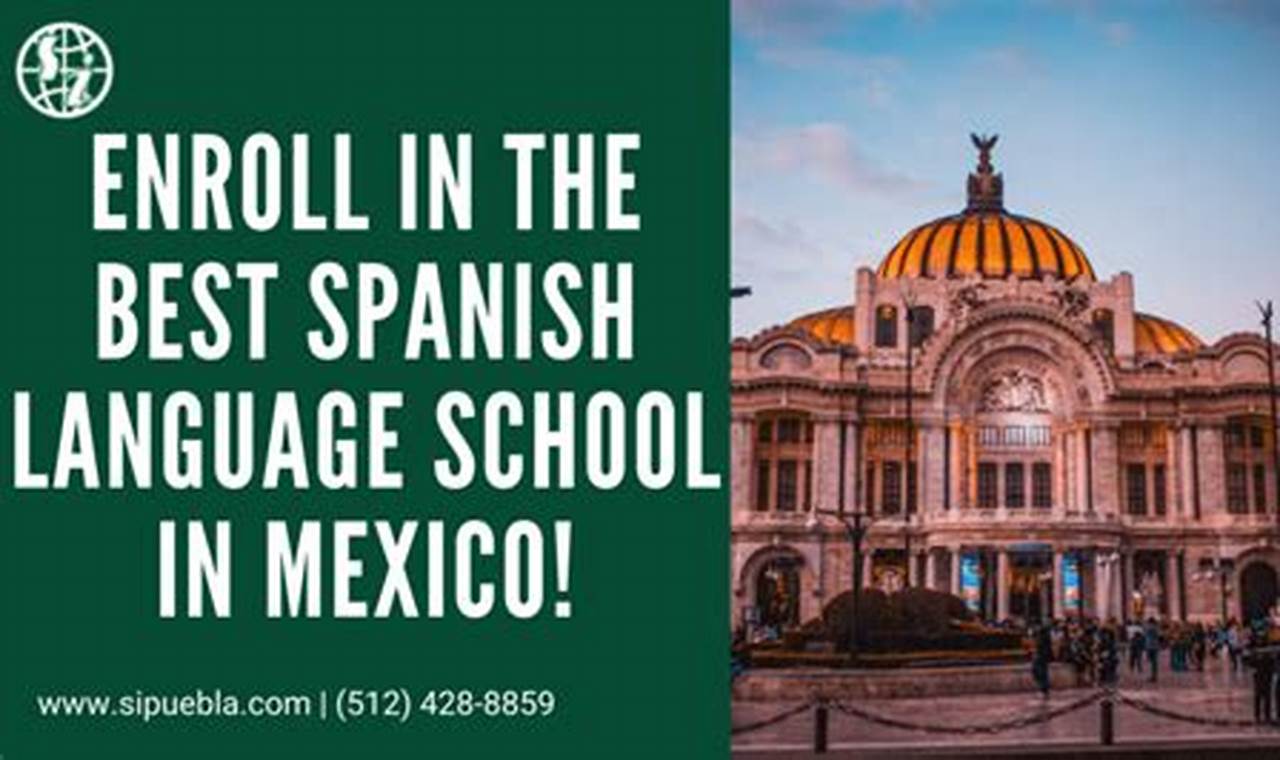 Top Spanish Schools in Mexico: 2024 Guide