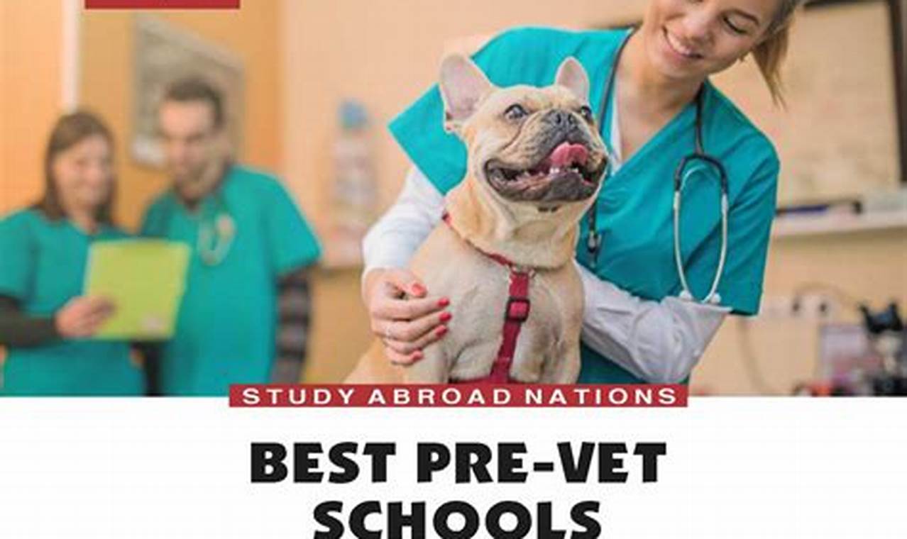 Top 10 Best Pre-Vet Schools & Programs