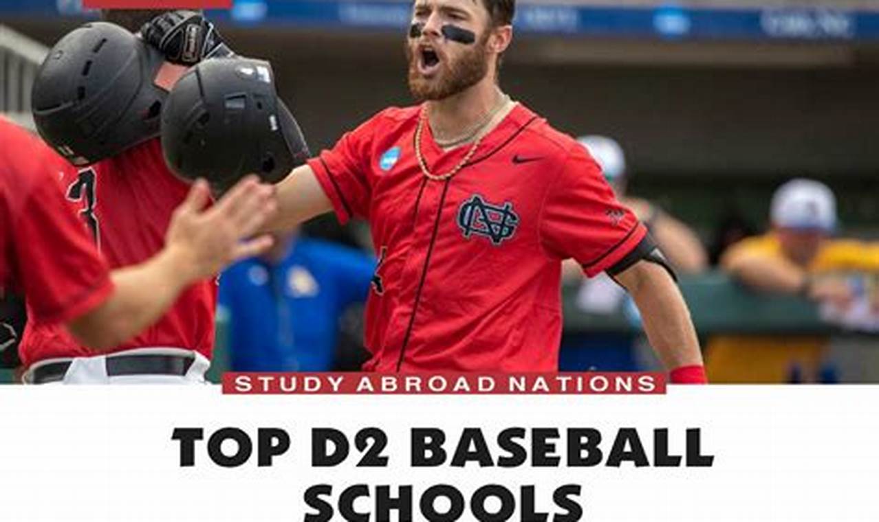 Top DII Baseball Colleges: 2024 Rankings