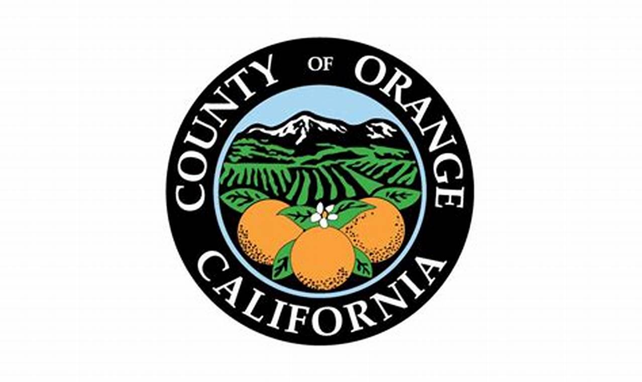 Best Logo Design in Orange County Schools