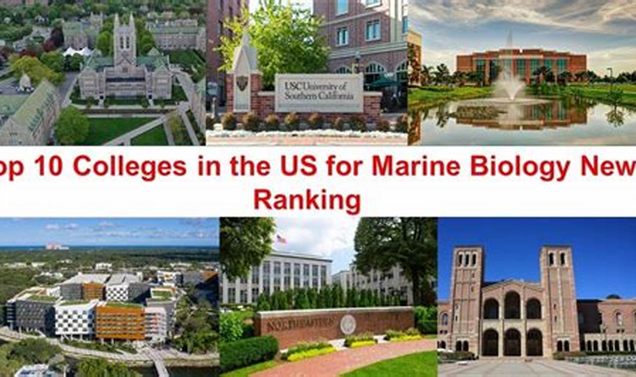Top Biology Schools in Florida: 2024 Guide