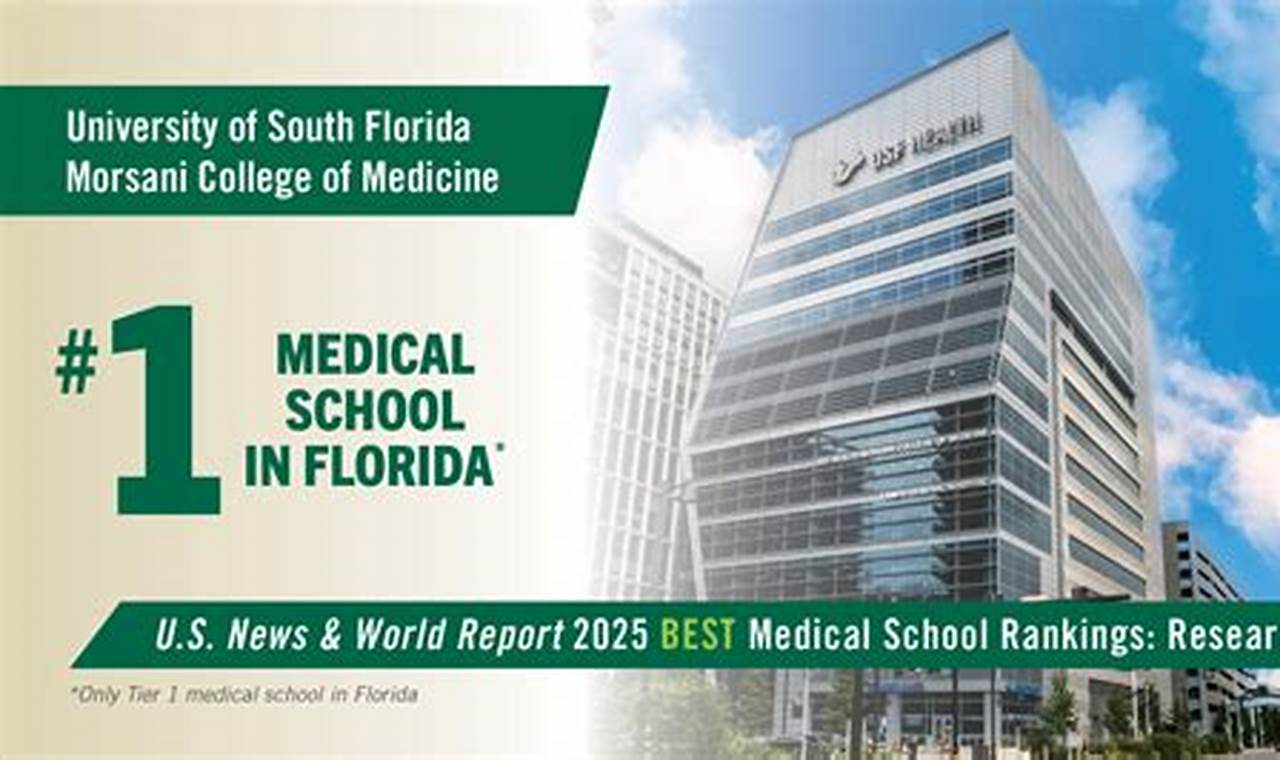 Top Med Schools in Florida: 2024 Guide