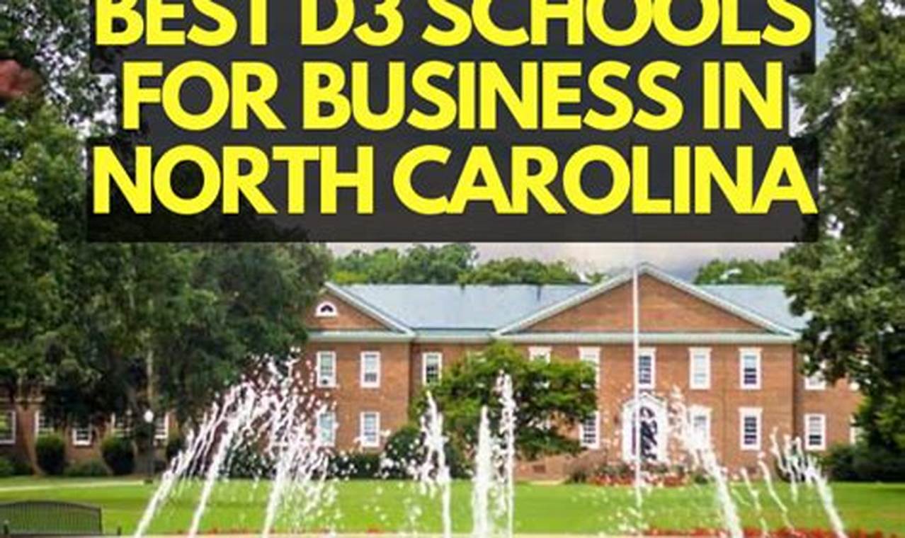 Top D3 Business Schools: 2024 Guide