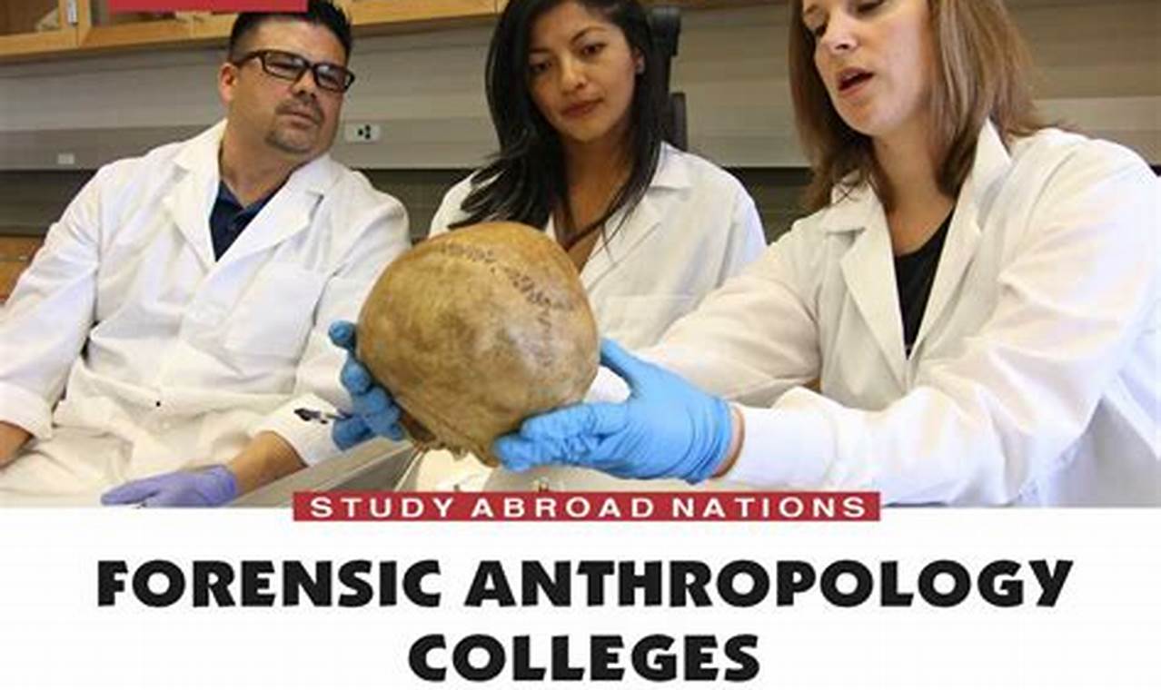 Top 5 Best Forensic Anthropology Schools & Programs